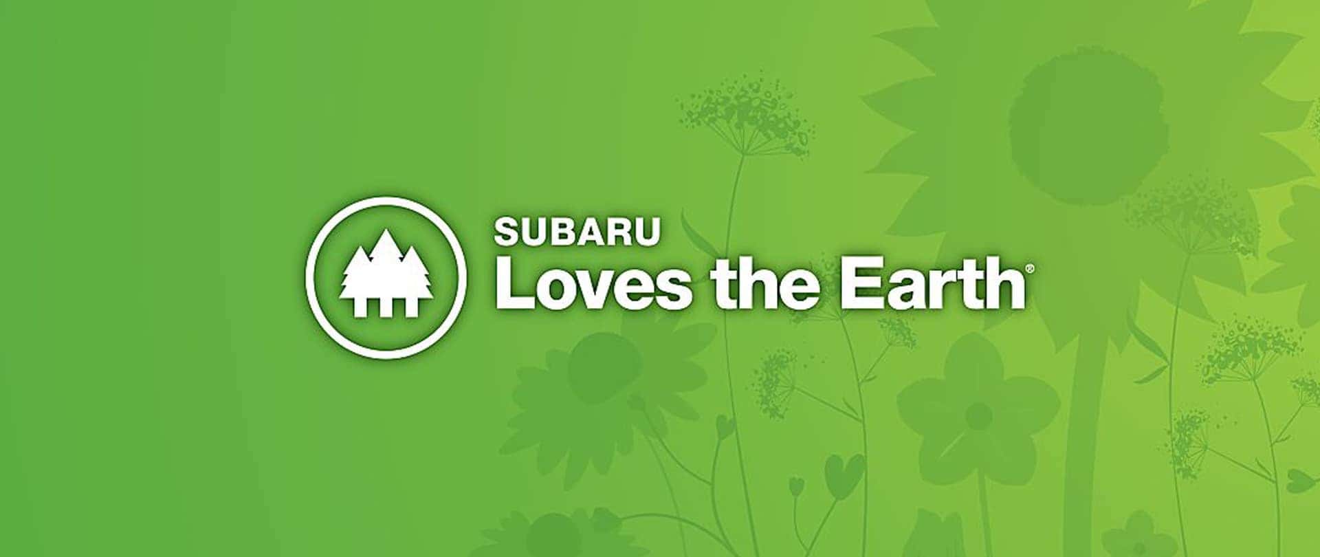 Casey Auto Group | BMW Chevy Honda KIA Subaru Toyota VW