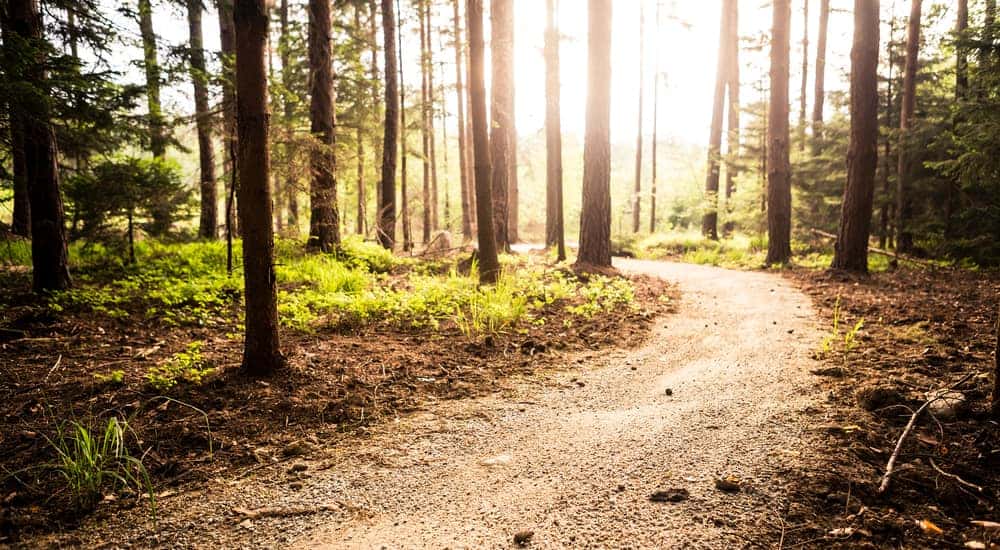 Finding Your Next Off-Road Ride near Woodland Park, CO