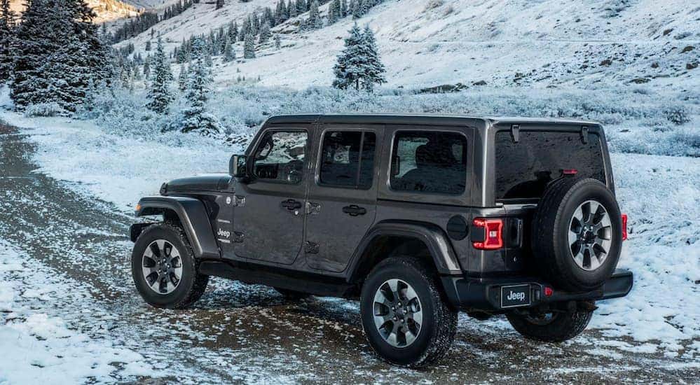 Jeep Roars into 2020 with a Full Lineup of New Models
